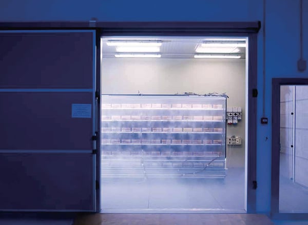 About us - Arneg Korea